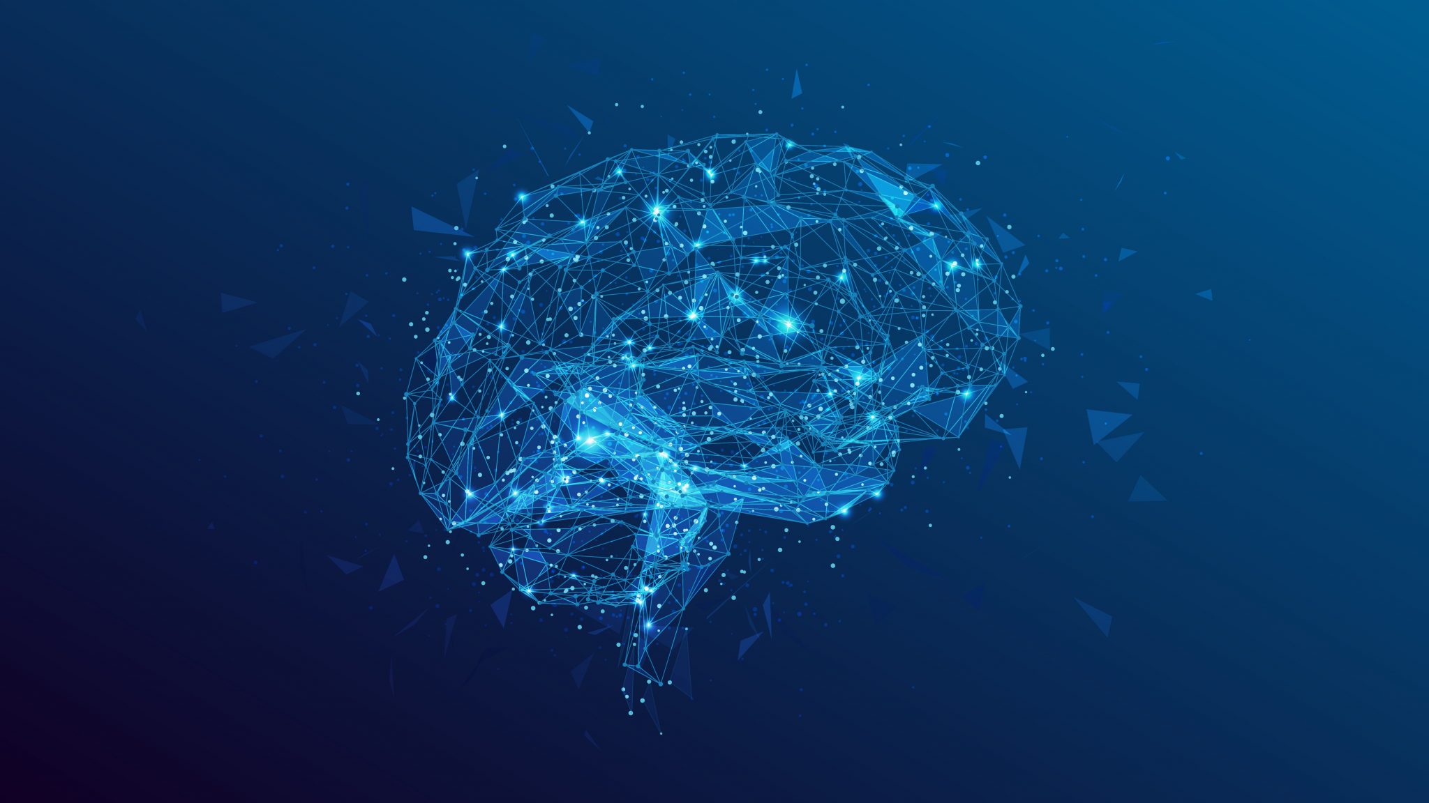 The Human Brain Atlas – Mapping the Brain as a Way to Understand its ...